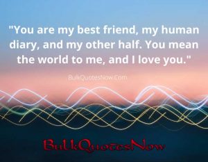 21 Best Ride Or Die Quotes And Memes - Bulk Quotes Now