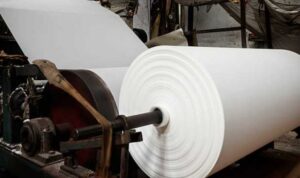 Things You Need To Know About Asia Pulp And Paper - Bulk Quotes Now